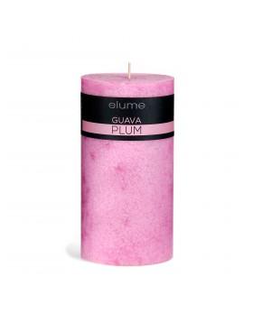 Guava Plum – Trend Indoor